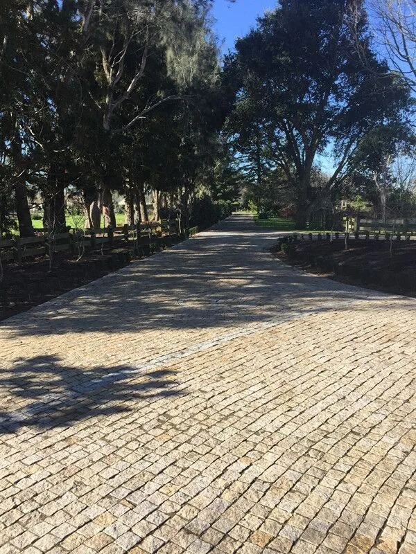 Black Round Flat River Pebble Stone for Landscaping | Natural Cobble ...