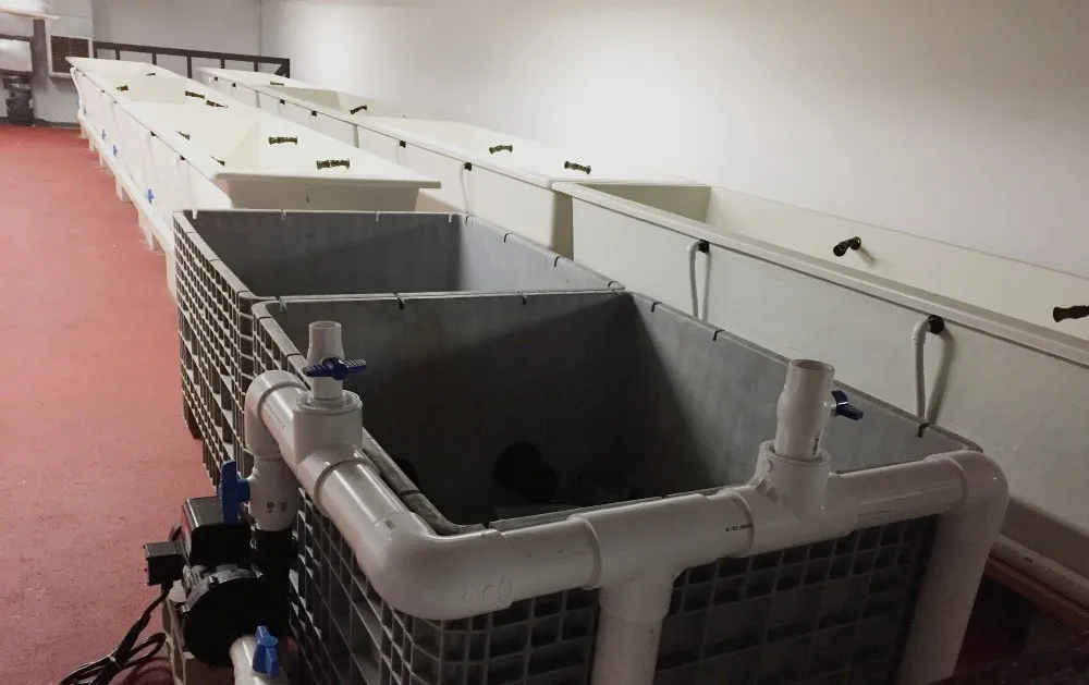 Fiberglass Preformed Koi Pond Fish Pond - Buy Fiberglass Preformed Koi ...