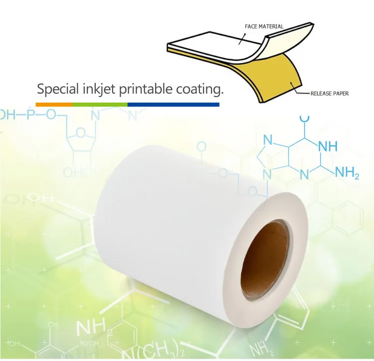 Manufacturer Supplier Matt White Pp Adhesive Paper Roll For Labels ...