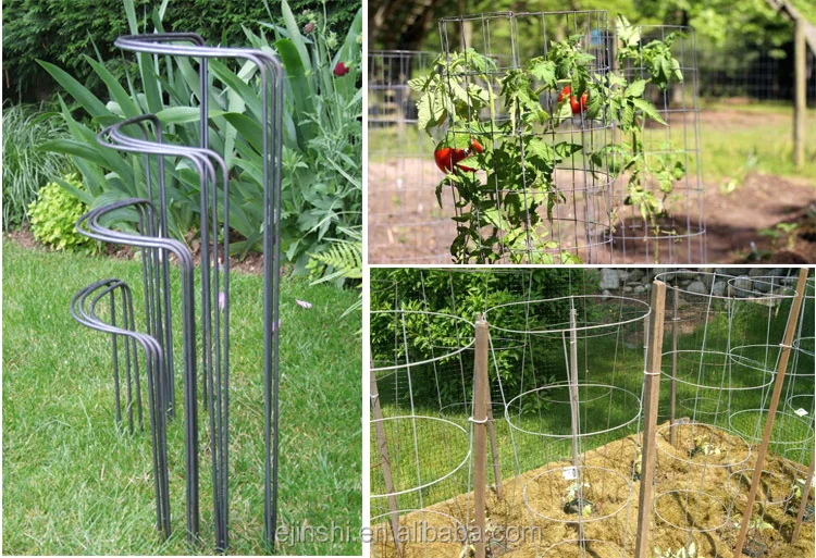 Factory Price Tomato Stand,Spiral Tomato Stakes Australia - Buy Spiral ...