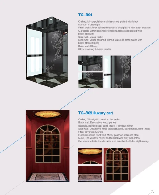 GOTS Villa Elevators| Alibaba.com
