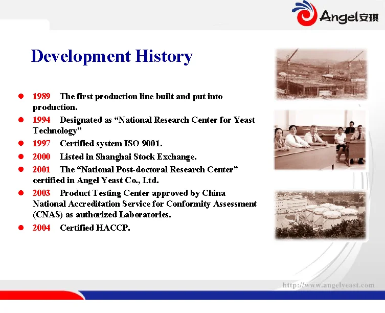 Angel Rice Wine Yeast - Buy Rice Wine Yeast,Rice Leaven,Sweet Rice Wine ...