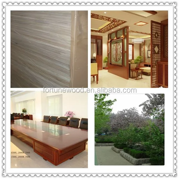 Beautiful Flower Empress Splendor Paulownia Tree With Highly Adaptable ...