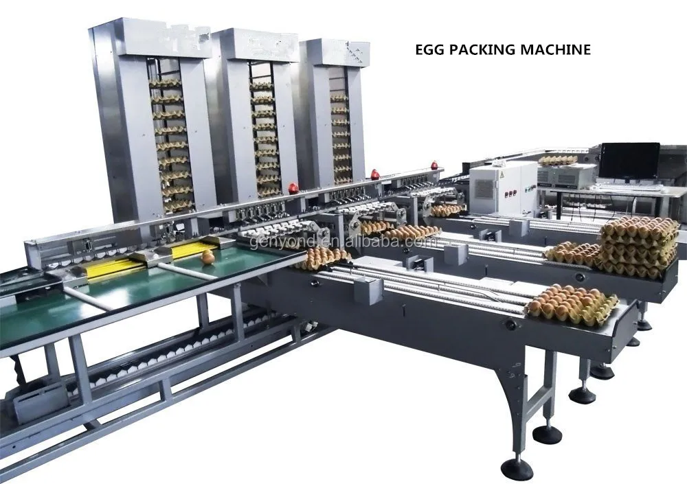 Industrial Egg Sorting And Packing Machine - Buy Egg Sorting And ...