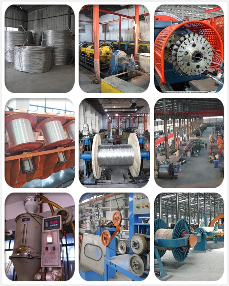 Solaster,Pagarus,Shrimp,Lobster 2 Awg /0.6/1kv Triplex Service Drop/abc ...