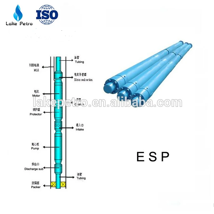 Oil Production Equipment Esp Electric Submersible Pump System - Buy ...