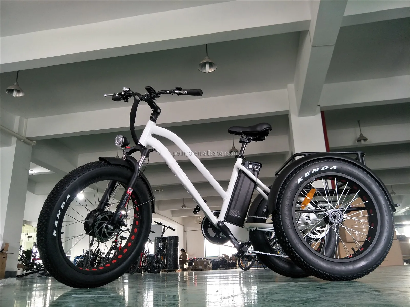 PETRIGO Electric Tricycle - Efficient Cargo Bikes