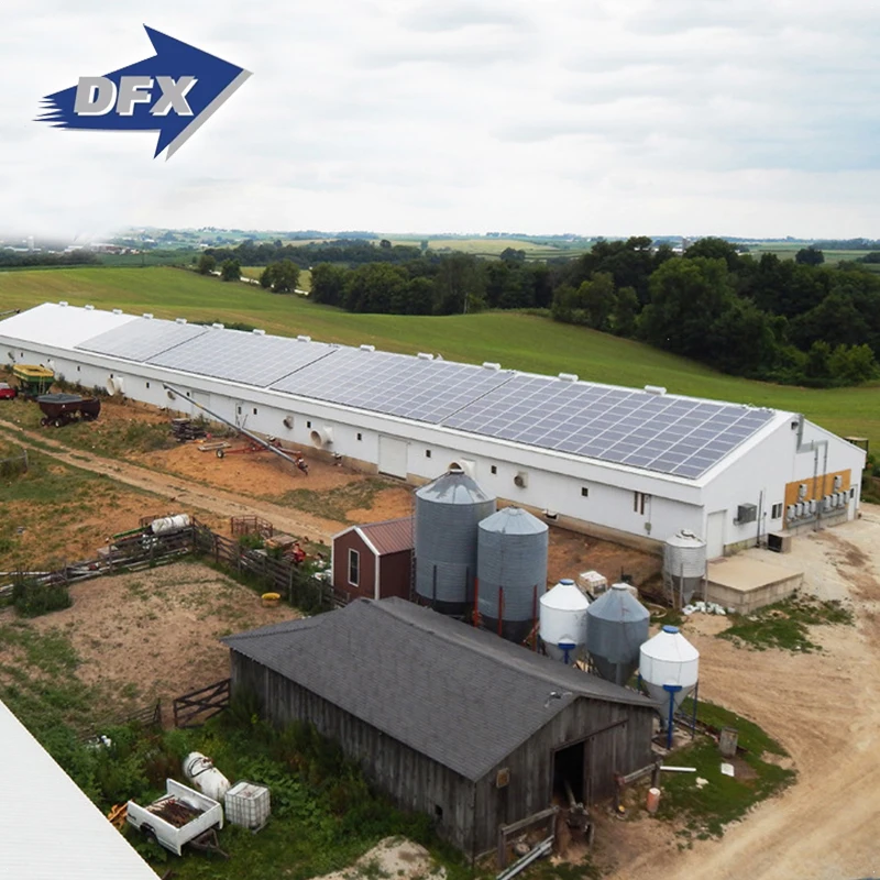 Low Cost Prefabricated Steel Structure Poultry Farm Design Layout In ...