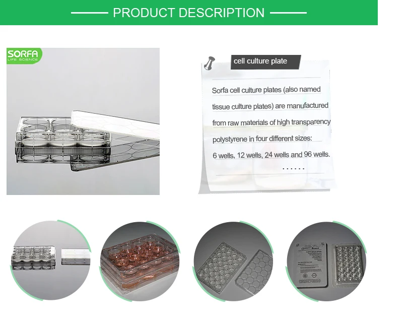 Plastic Sterile Tissue Culture Container Cell Culture Plate Price 96 ...