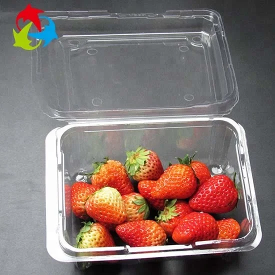Disposable Food Grade Fruit Blister Packaging Tray Plastic Clamshell ...