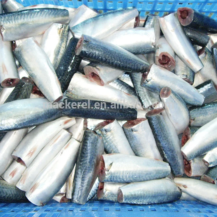 Chinese Professional Mackerel Producer Cheap Price Sale Frozen Pacific ...
