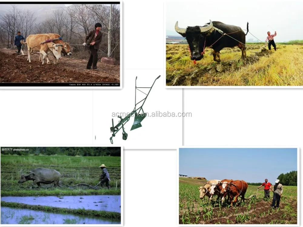 Direct Supply Ox Drawn Plow,Animal Plough Single Plough China Factory ...