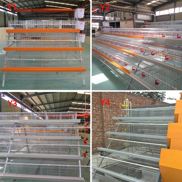 Chicken Breeding Cage /egg Laying Hen Cage / Chicken Cage For Sale ...