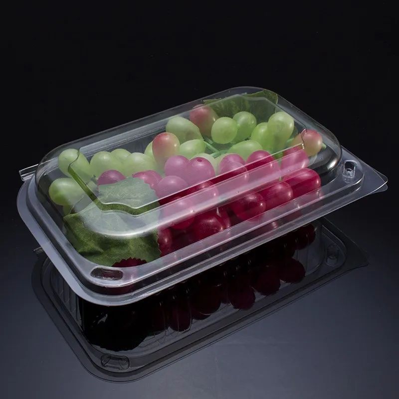 Disposable Plastic Clear Pet Fruit And Vegetable Container Fresh Salad ...