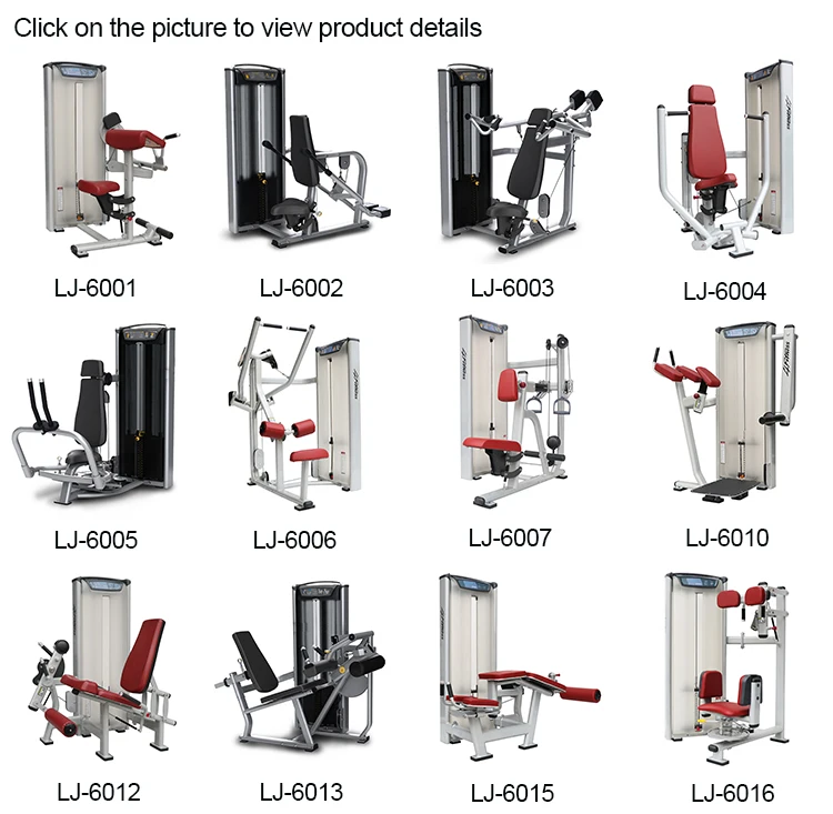 Professional Bodybuilding Gym Fitness Equipment Commercial Torso ...