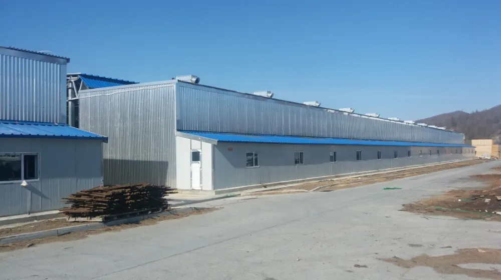 Steam Hotwater Thermal Oil Wood Drying Kiln for Sale