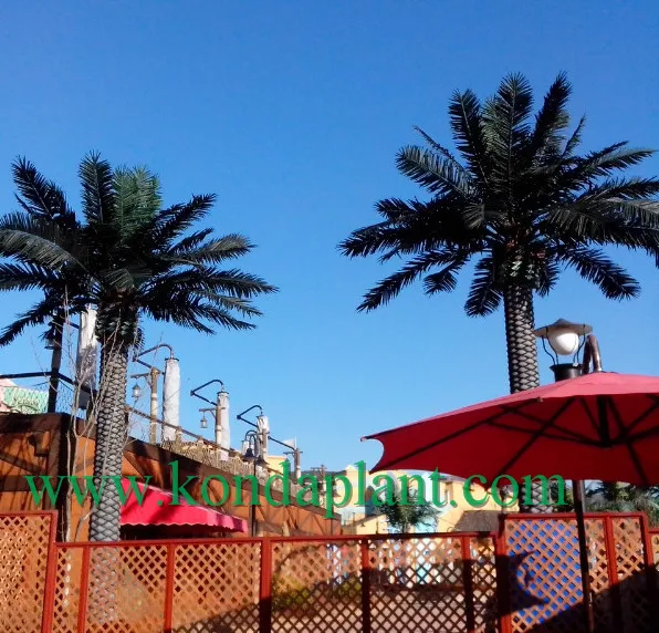 Artificial Tissue Culture Saudi Arabia Style Date Palm Trees Sale For ...