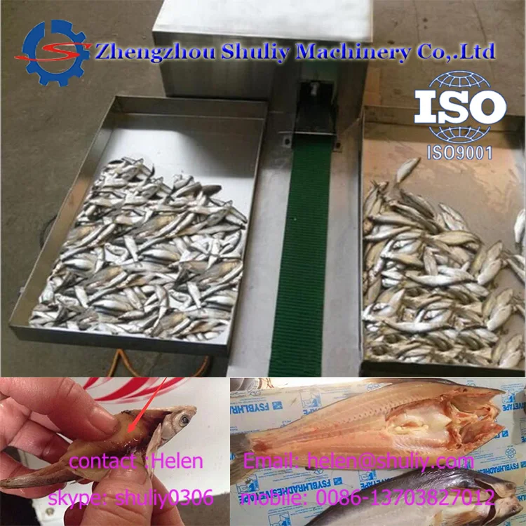 Automatic Fish Cleaning Machine/ Fish Gutting Machine What's App ...