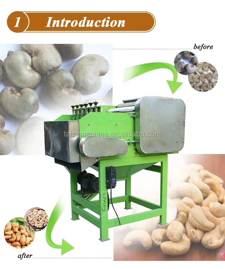 South Africa Cashew Nuts Shelling Machine - TAIZY TZ Model