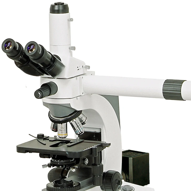 A17.1026-a 2 Head Multi Viewing Microscope/ Dual Viewing Microscope ...