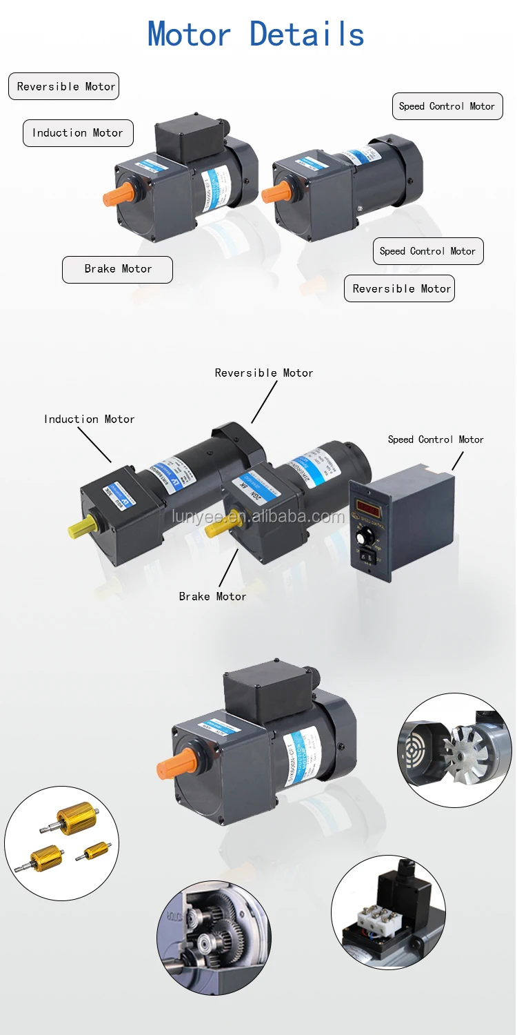 High Torque Low Rpm Small Powerful AC Electric Motors 3W to 400W