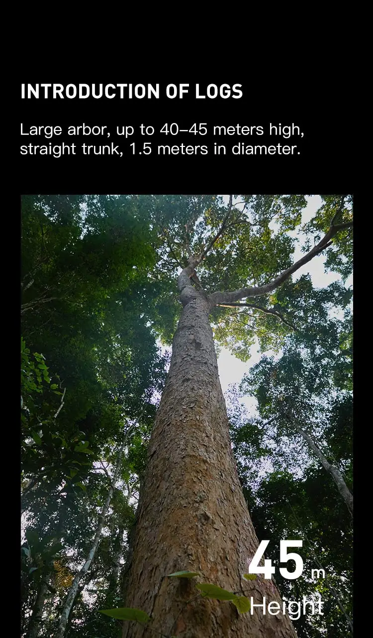 Rongyuanwood Ekki/azobe/timber Veneer - Hardwood Lumber