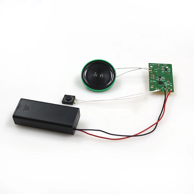 Custom Sound Module With Motion Sensor - Buy Sound Module With Motion ...