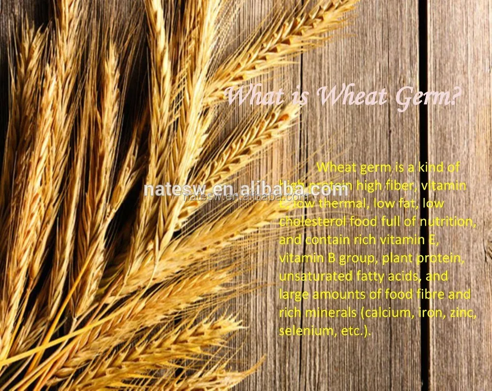 Bulk Supply Natural Wheat Germ Extract Powder 10:1 - Buy Wheat Germ ...