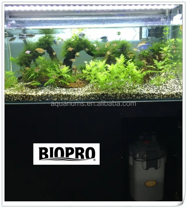 Biopro Aquarium | atelier-yuwa.ciao.jp