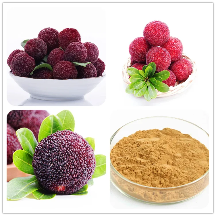 Bayberry Supplements Red Waxberry Price Yumberry Extract Myricetin ...