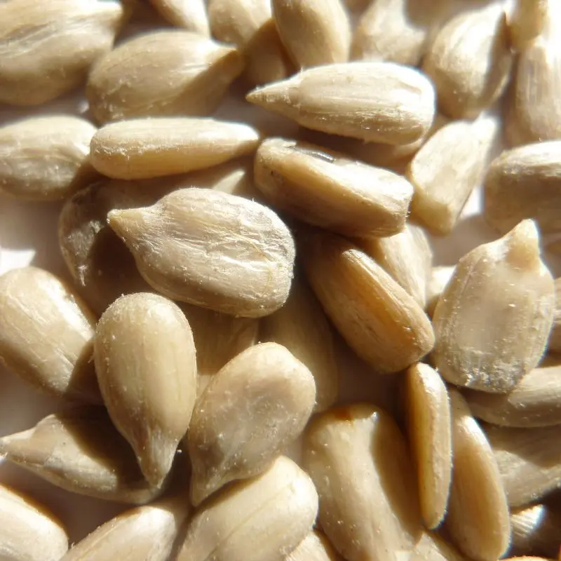 Sunflower Seed Kernels For Bakery & Confectionary - Buy Sunflower ...