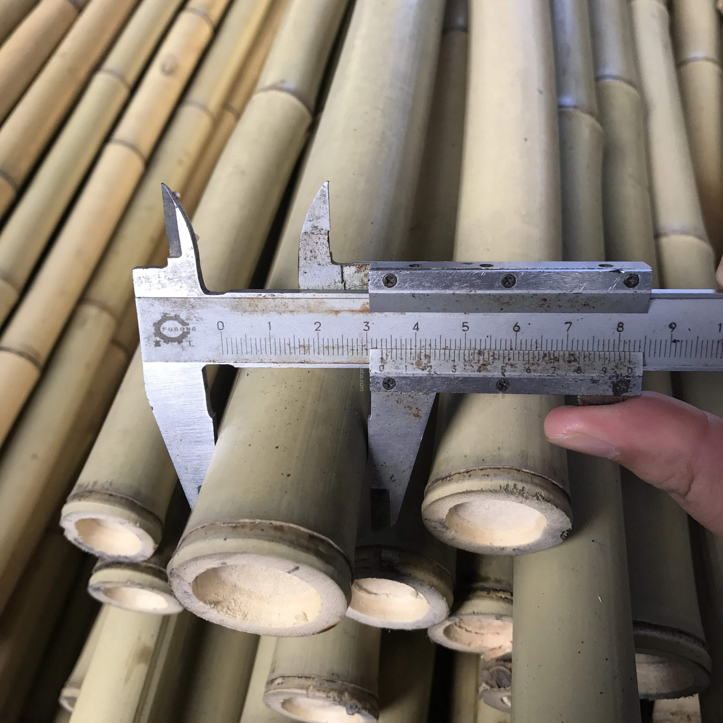 Fd-wholesale Agriculture Bamboo Sticks Raw Bambou Poles For Nursery ...