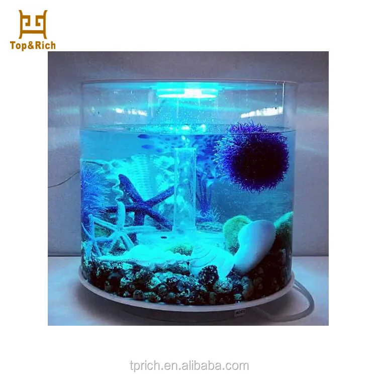 Factory Custom Large Round Fish Tank Acrylic Tube Aquarium With ...