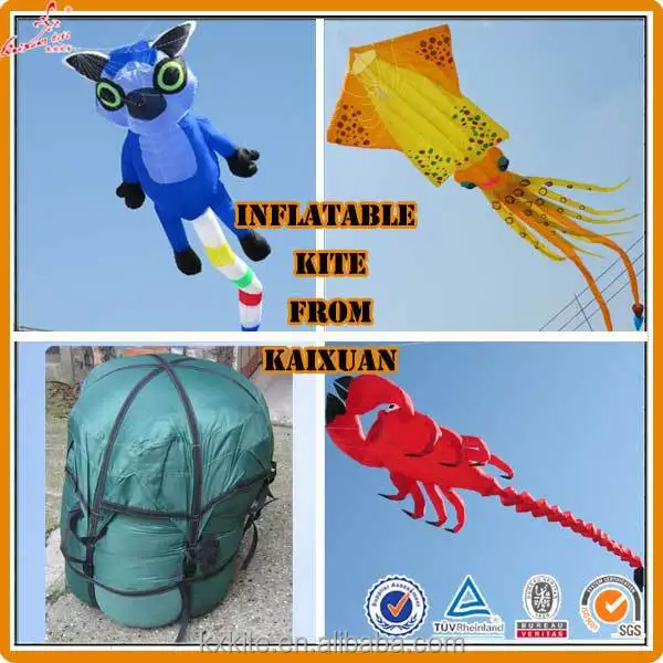 Durable Ripstop Nylon Large Inflatable Kite - Buy Large Inflatable Kite ...