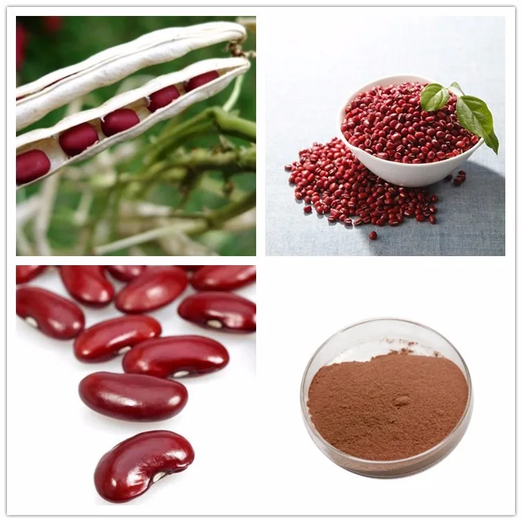 Iso&gmp Certified 100% Natural Red Adzuki Bean Extract Powder - Buy ...