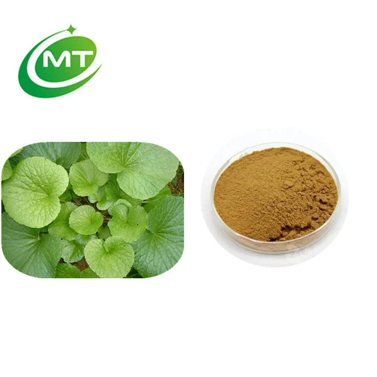 China Manufacturer Herbal Wasabi Extract - Buy Herbal Extract,Herbal ...