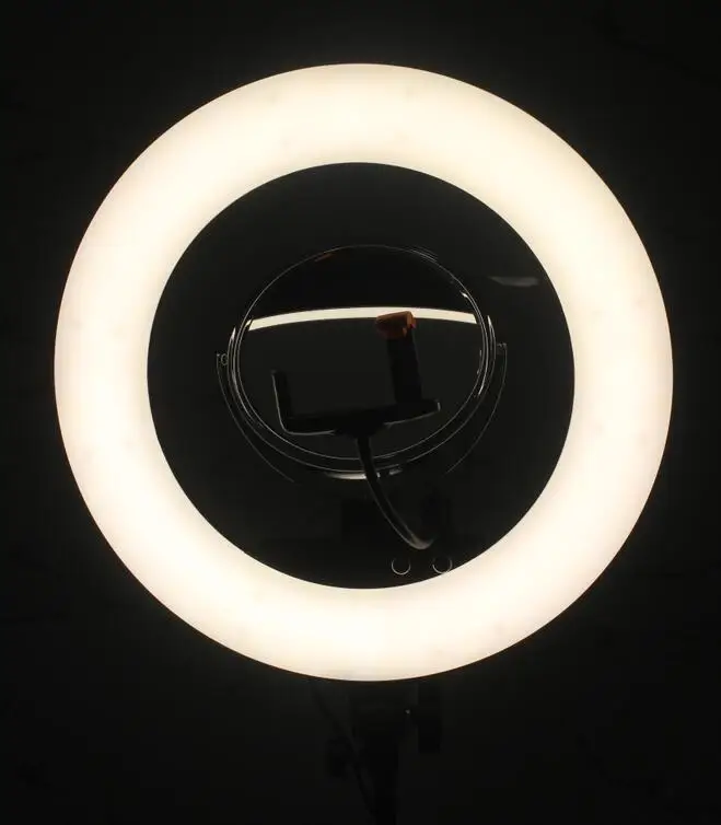 LF-R480 LED Ring Light - Perfect for Live Shows & Portraits