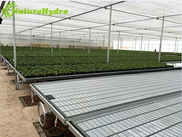 Hydroponic Flood Table Ebb and Flow 4ft X 6ft Rolling Bench Flood and ...