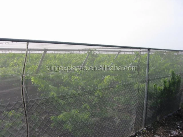 Virgin Hdpe Rigid Fine Mesh Insect Screen Net/woven Plastic Garden ...