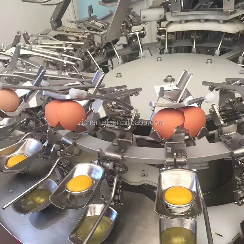 Automatic Commercial Egg Cracking Machine Egg Shell Crushing Machine - Buy Egg Cracking Machine ...