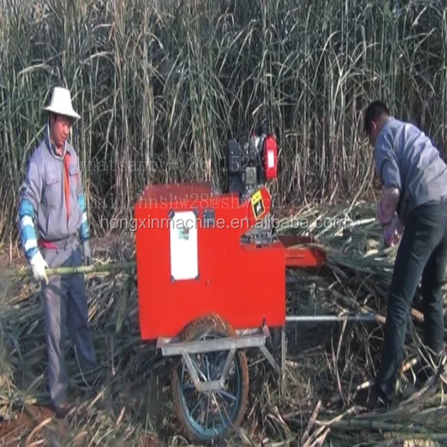 Small Mobile Sugarcane Leaf Stripping Machine / Sugarcane Leafs Peeling ...