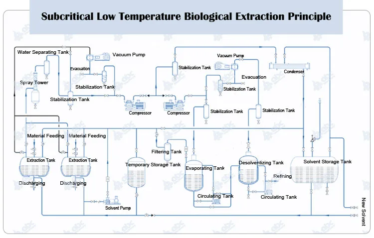 Tracing The Protein Assembly Line