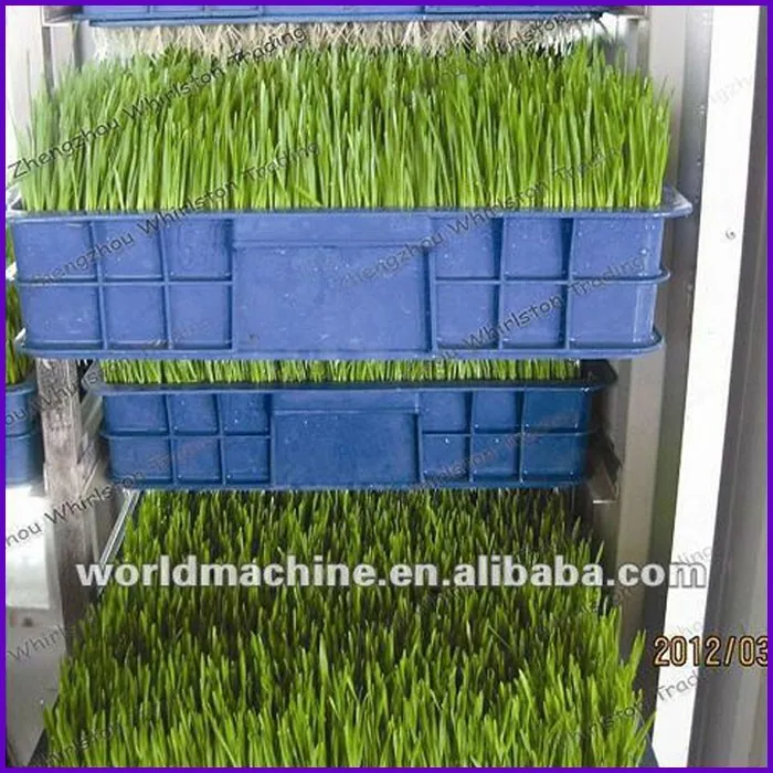 Hydroponic Barley Grass Sprout System/container Hydroponic Fodder ...