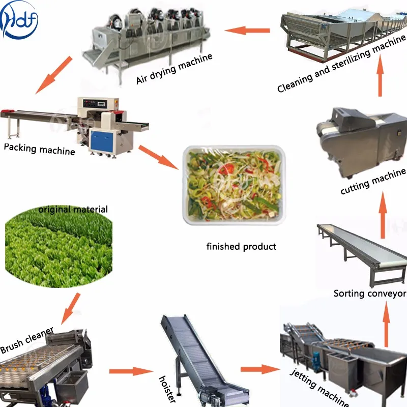 Multifunctional Vegetable Processing Machine - HDF1000