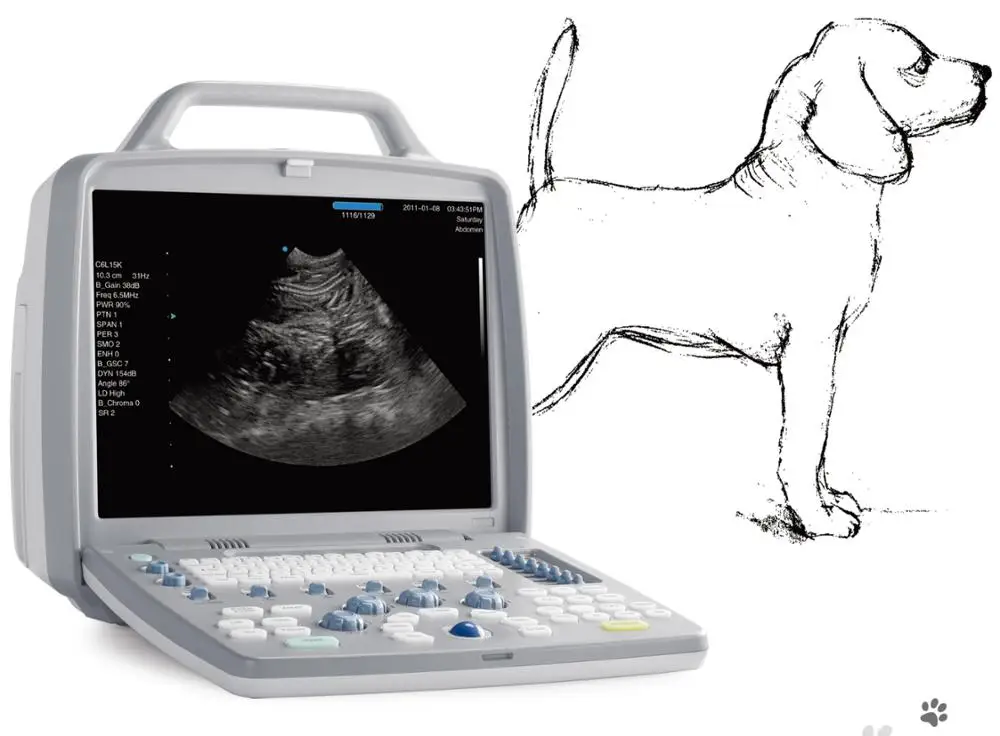 Bs-8800+vet Portable Veterinary High Quality 3d4d Image Color Doppler ...