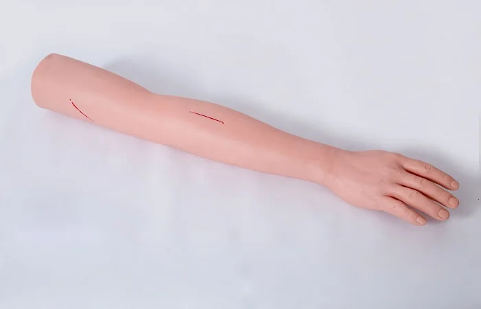 GD/LV1 General Doctor Advanced Surgical Suture Arm Model