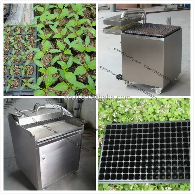 Vegetable Grow Seedling Machine //vegetable Seeds Sowing Machine//0086 ...
