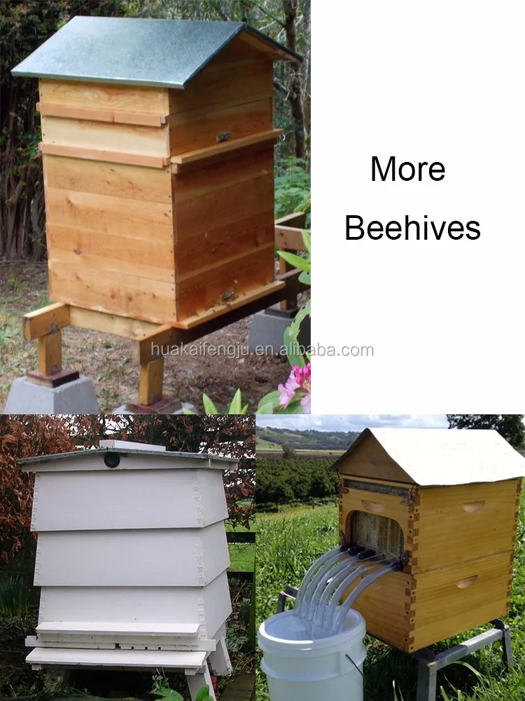 Beekeeping Beehive Manufacturers Dadant Beehive & Langstroth Beehive ...