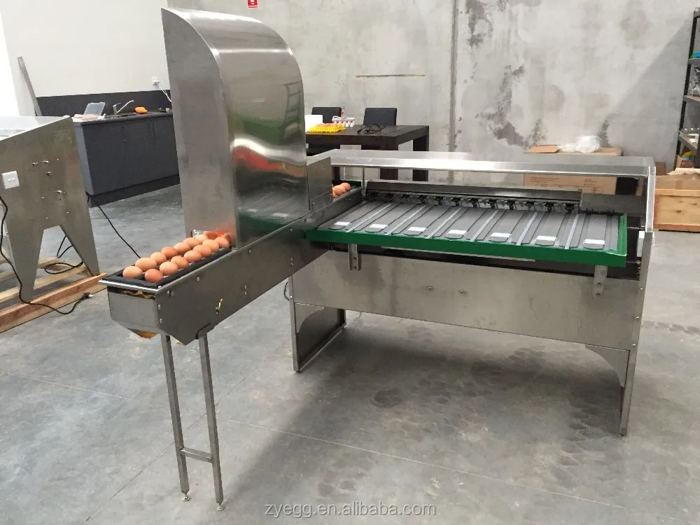 Small Production 4000pcs/h Egg Grader For Sale - Buy Egg Processing ...