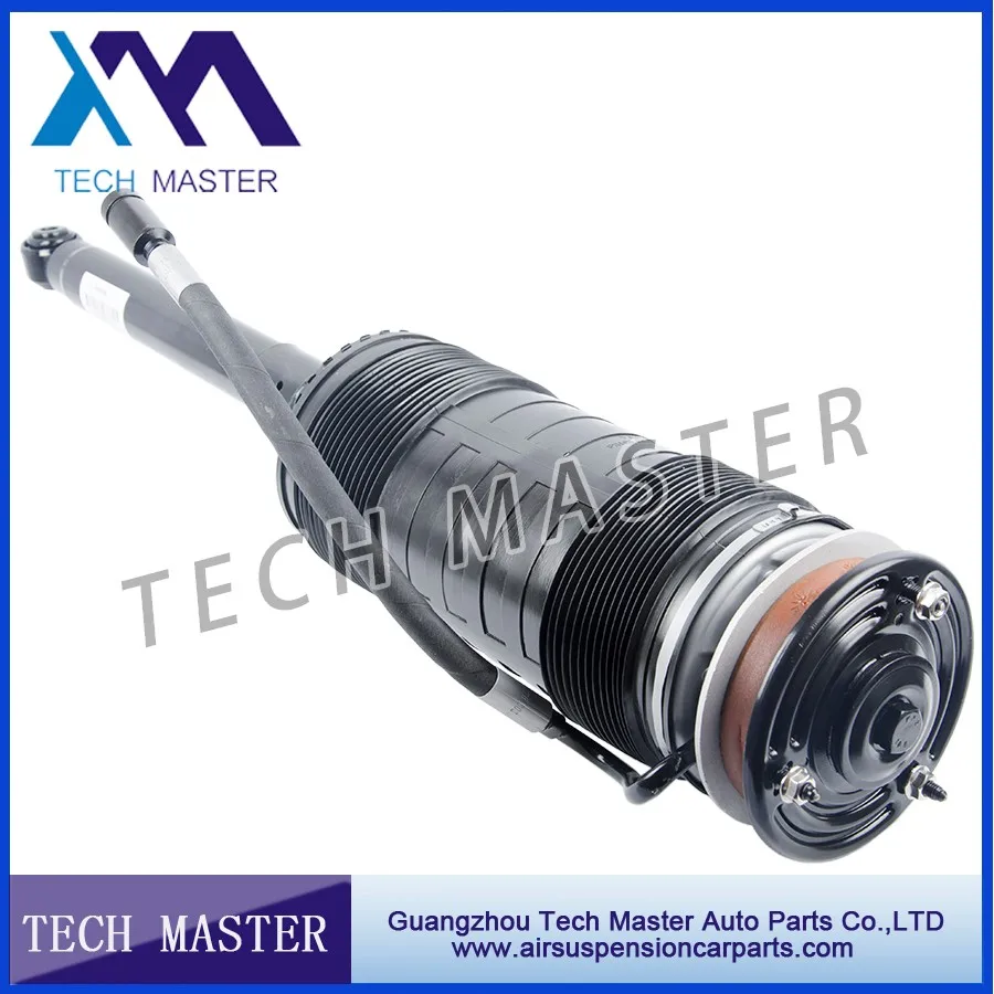Auto Part 2213208713 2213208913 Hydraulic Shock Absorber W221 Rear Left ...